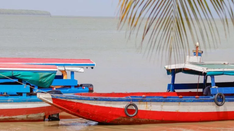 Experience Suriname with Orange Travel Jungle Tours