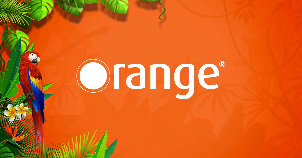 Car and bicycle rental in Suriname | Reliable & flexible